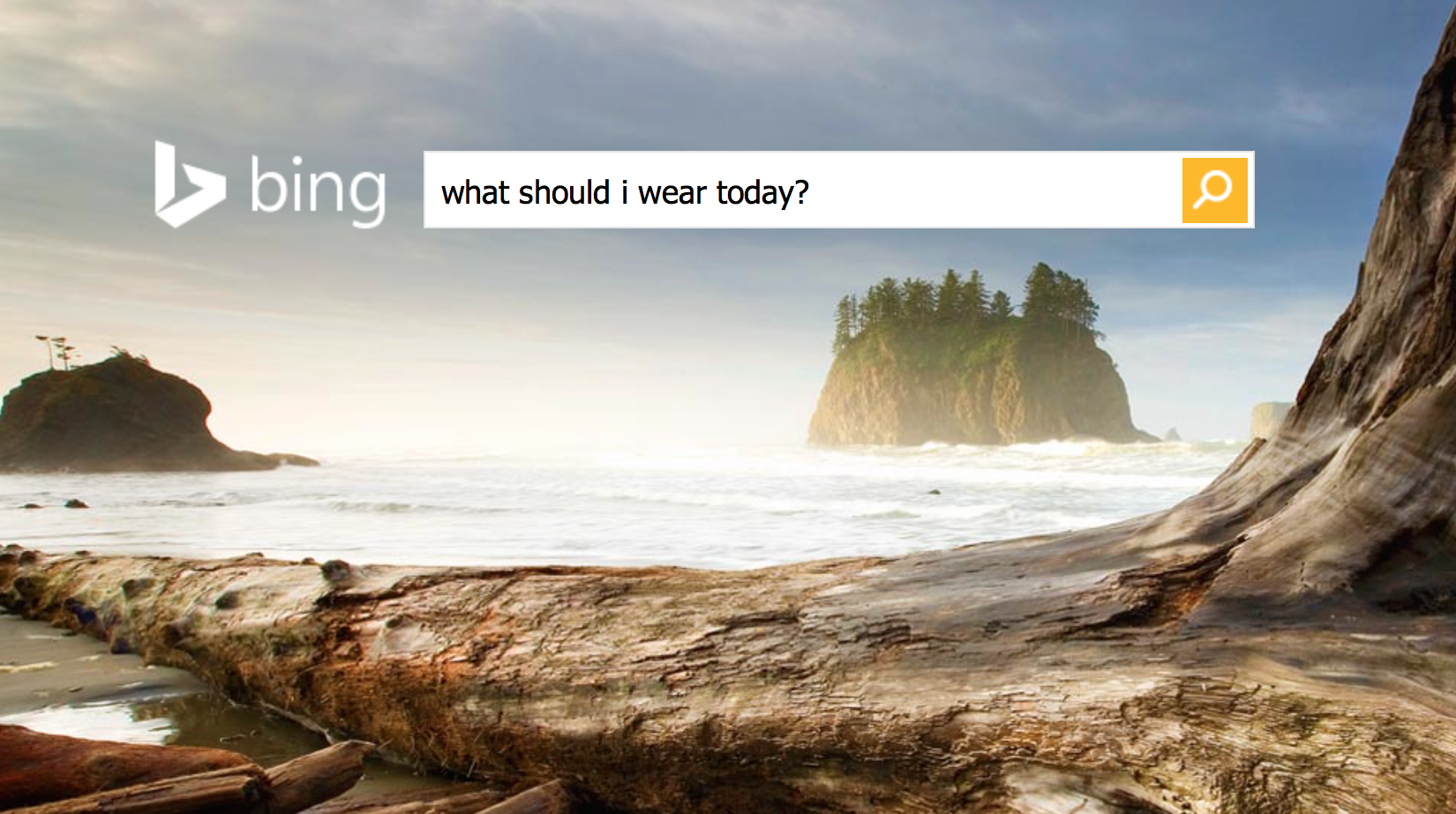 How Do You Search? - ChiCityFashion